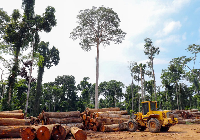 Human Environmental Interactions All You Need To Know 